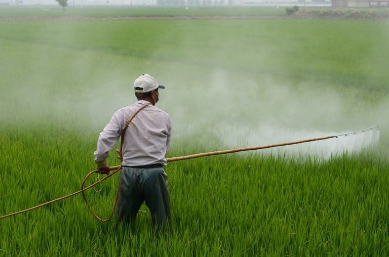What Is Pesticide Explained: (Key Uses, Ingredients + Risks)