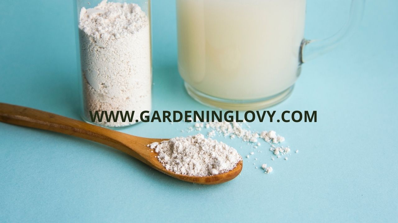 How To Use Diatomaceous Earth: Best Usages [Garden,Home]