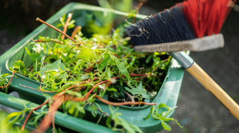 7 Genius Hacks: How To Dispose Of Tree Branches And Debris