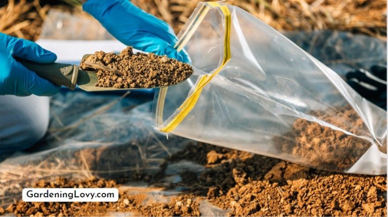 11 Simple Steps To Fix Deficiency Of Copper In Plants
