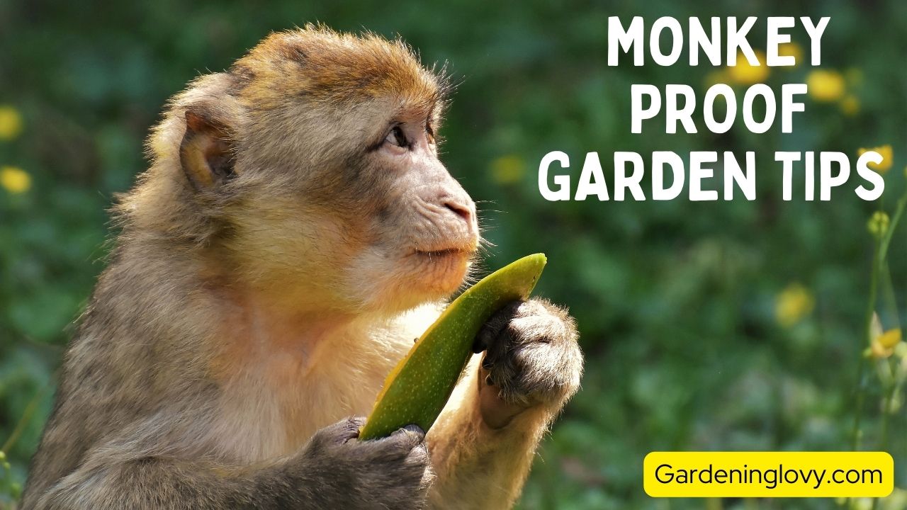 Protect Vegetable Garden From Monkeys (6 Smart Ways!)