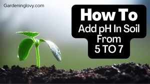 How To Raise PH In Soil Naturally: 6 DIY Ways