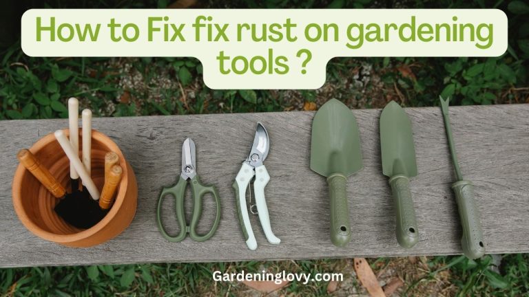 How To Remove Rust From Garden Tools: 15 Easy Fixes