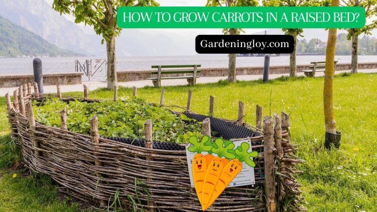 9 Steps: Square Foot Gardening Carrots For Max Yield