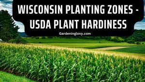 What Planting Zone Is WI (Everything You Need To Know!)