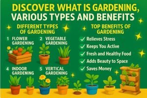 Discover What Is Gardening, Various Types And Benefits