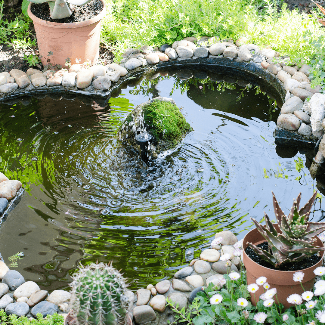 Designing A Functional Garden On A Budget (In Steps)