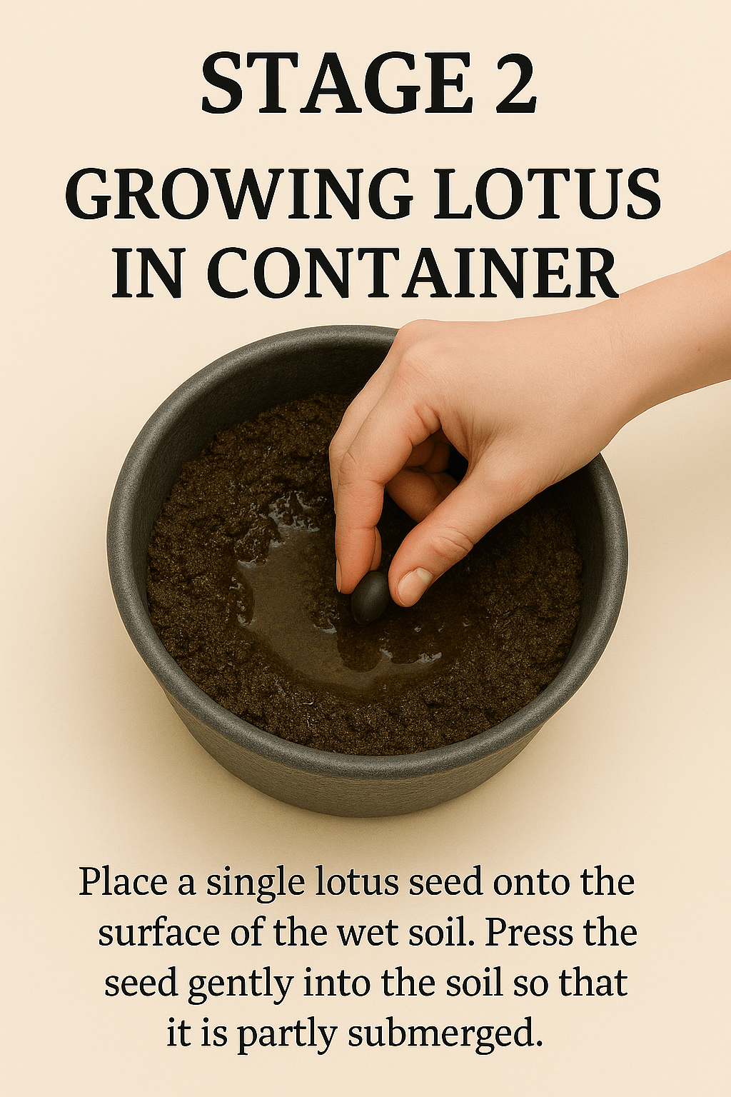 7 Proven Ways To Grow Lotus In Containers + Pots Like A Pro!