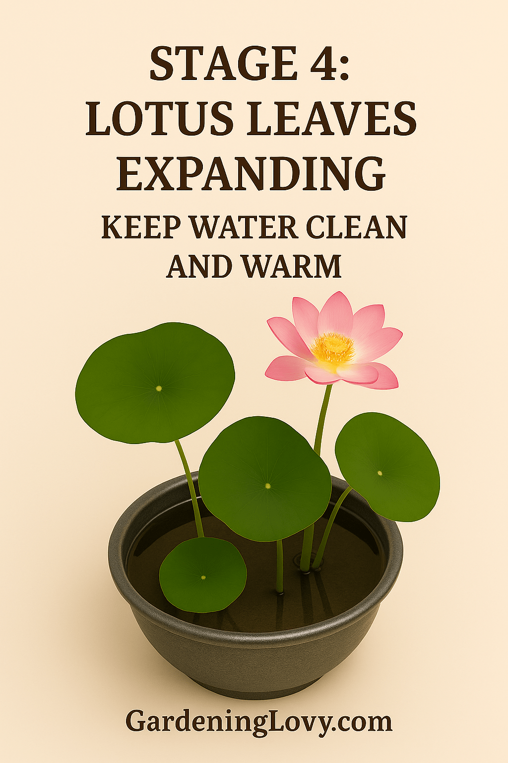 7 Proven Ways To Grow Lotus In Containers + Pots Like A Pro!